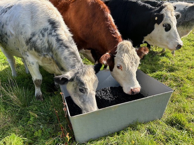 Biochar and Wood Vinegar Production from Southland Carbon